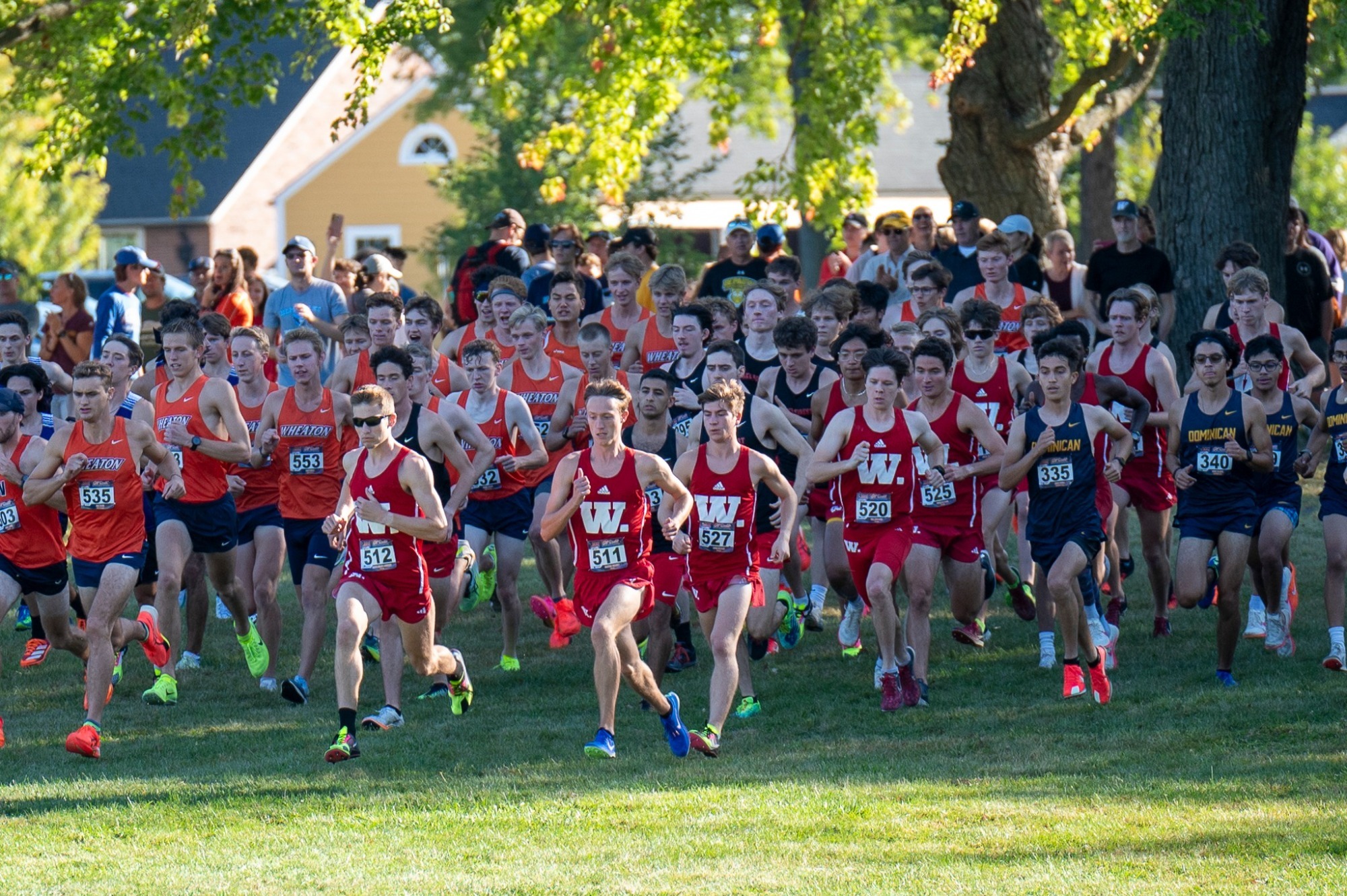 Curnutt Captures 2024 NCAC Men's Cross Country Title - Wabash College ...