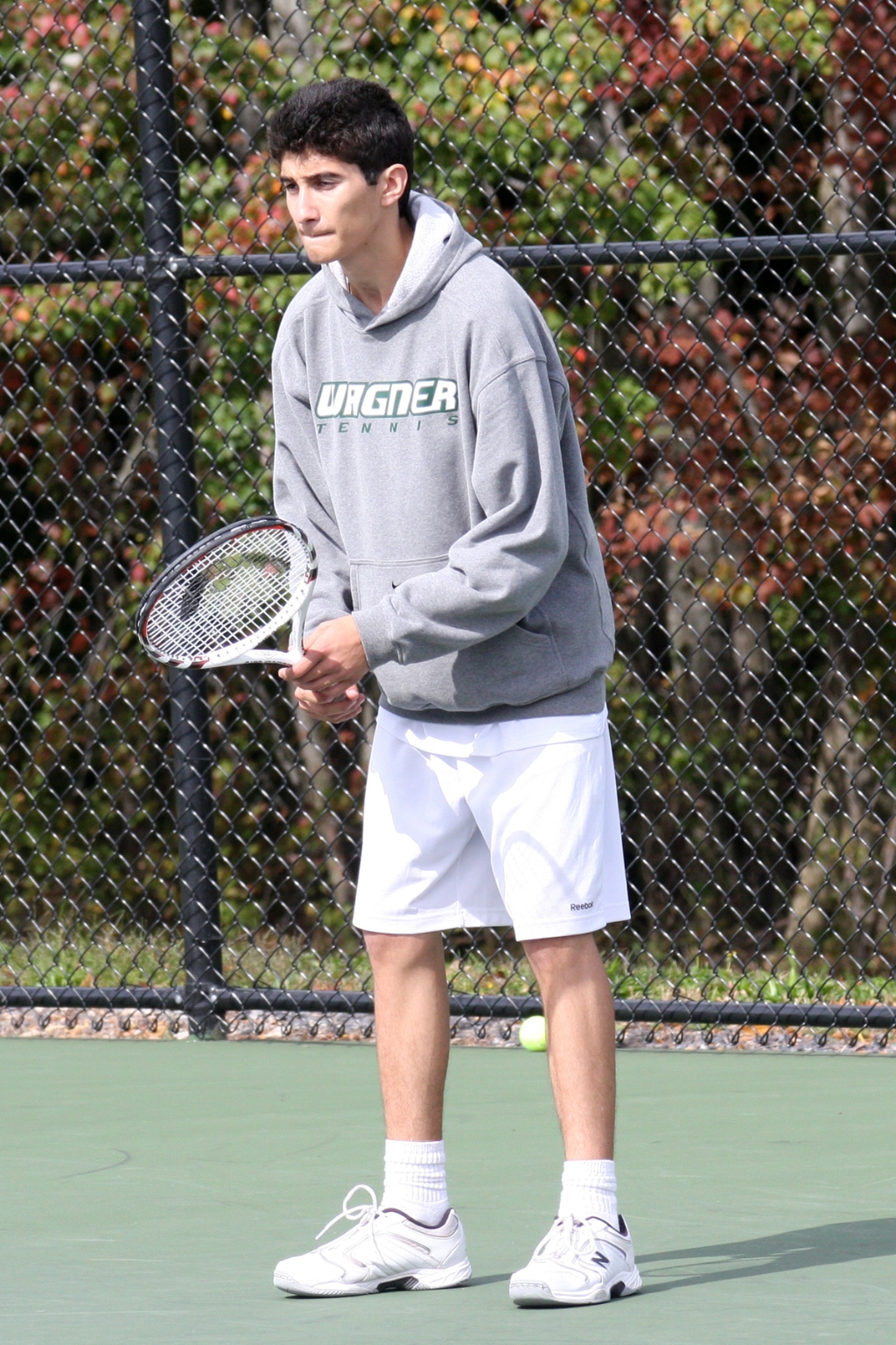 Nicholas Apicella - 2010 - Men's Tennis - Wagner College Athletics