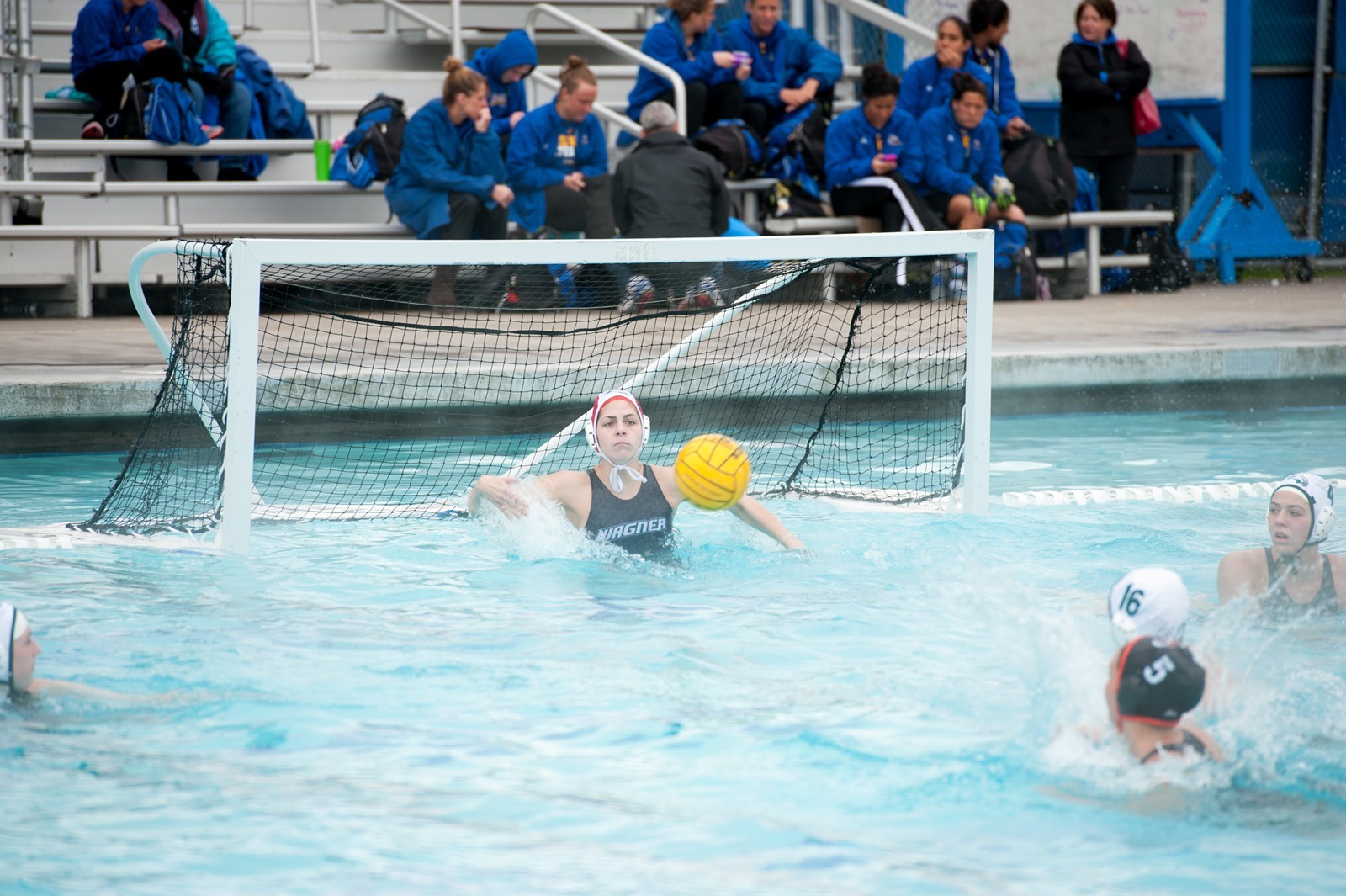 Laura Karbach - 2013 - Women's Water Polo - Wagner College Athletics