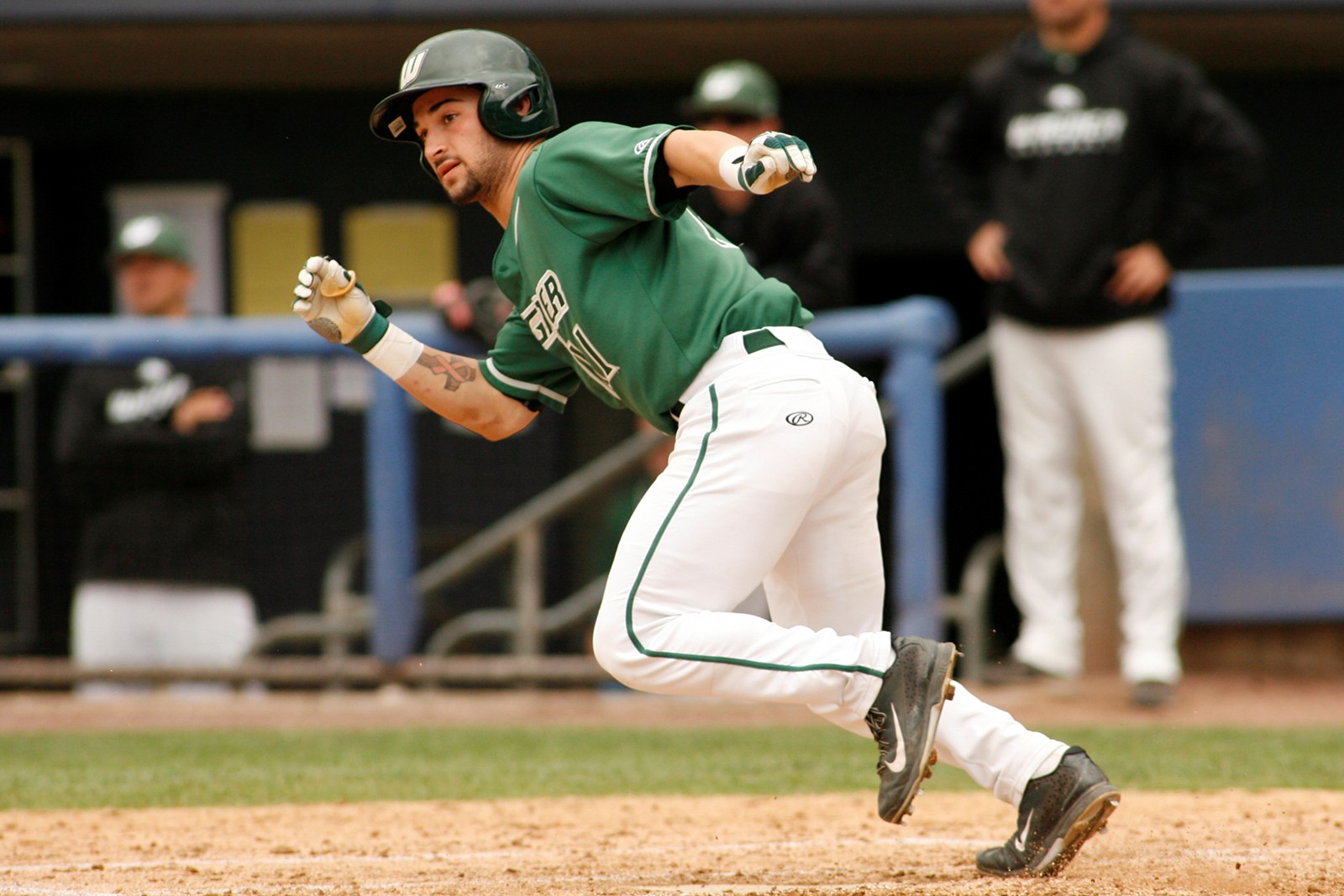 Nick Dini - 2015 - Baseball - Wagner College Athletics
