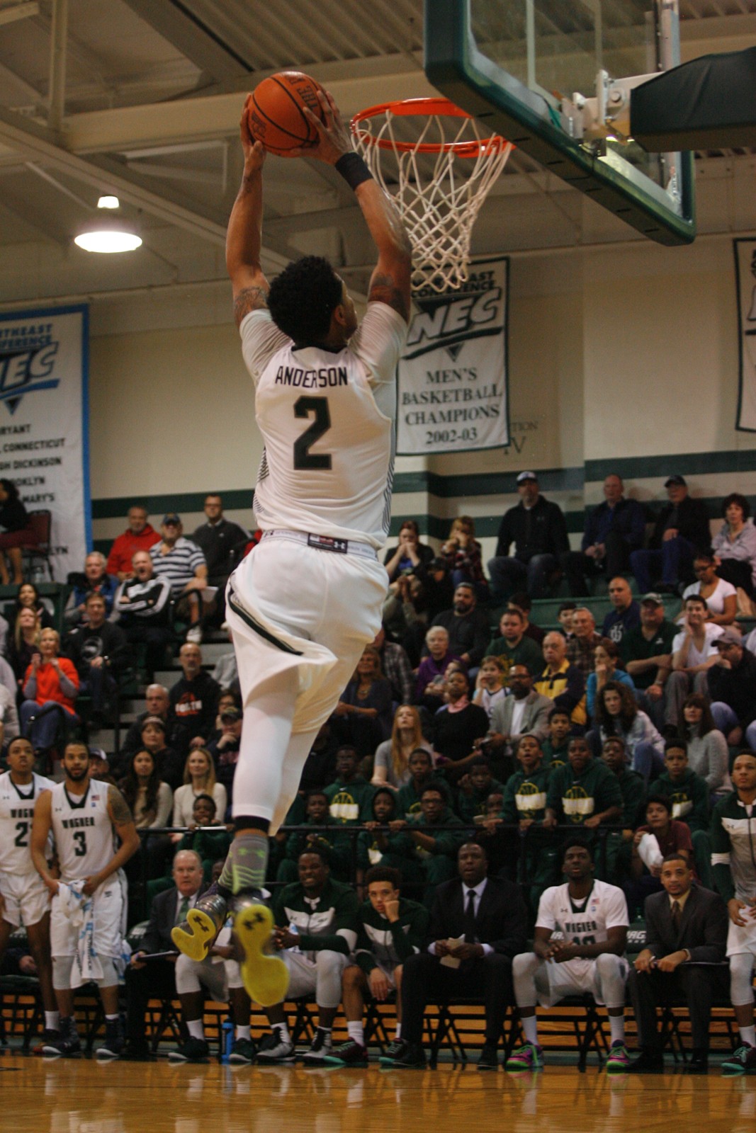 Dwaun Anderson - 2015-16 - Men's Basketball - Wagner College Athletics