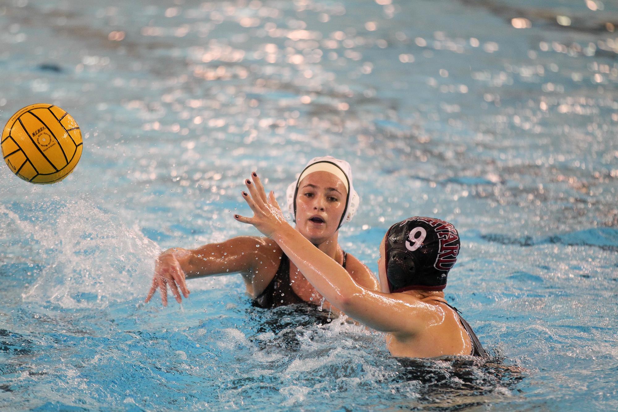 Erica Hardy - 2019 - Women's Water Polo - Wagner College Athletics