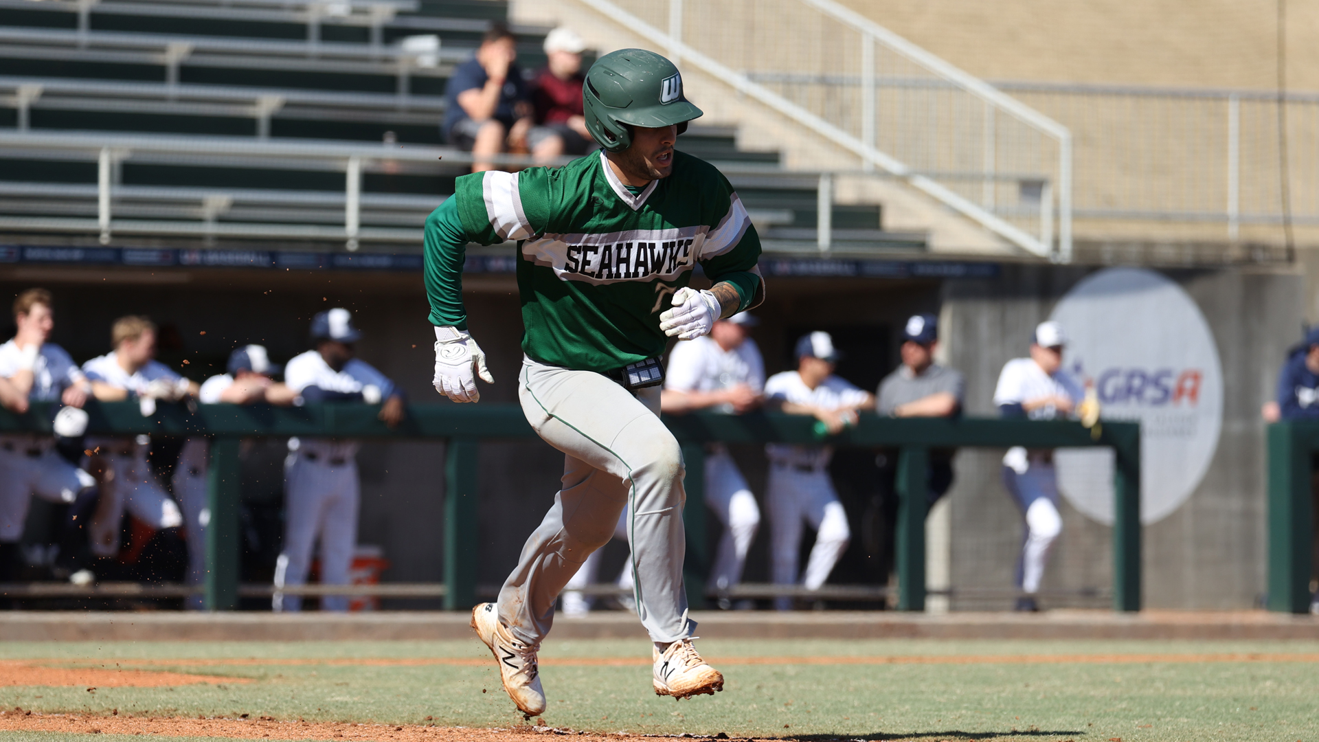 Mike Ruggiero - 2022 - Baseball - Wagner College Athletics