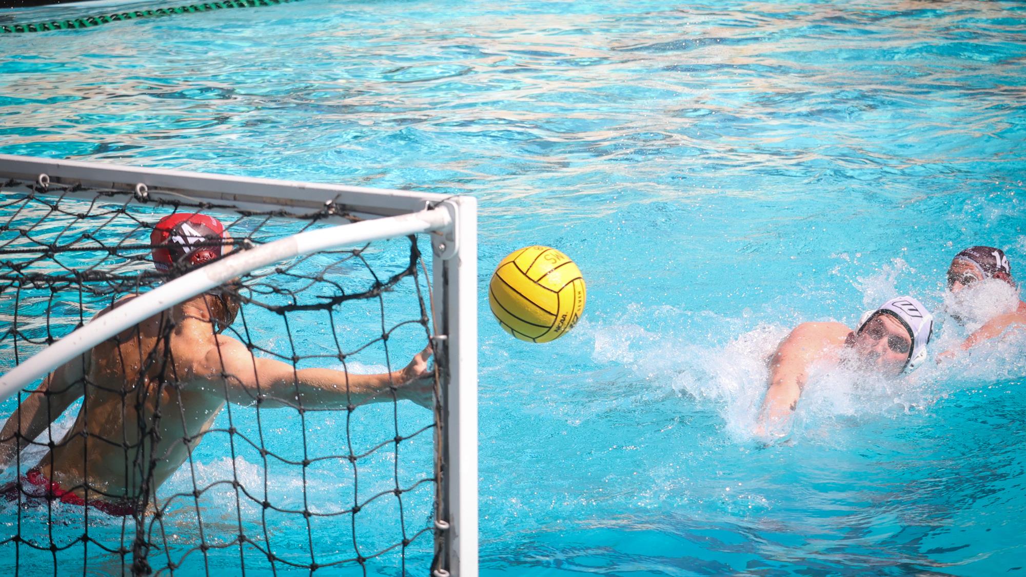 Olivér Fodor - 2022 - Men's Water Polo - Wagner College Athletics