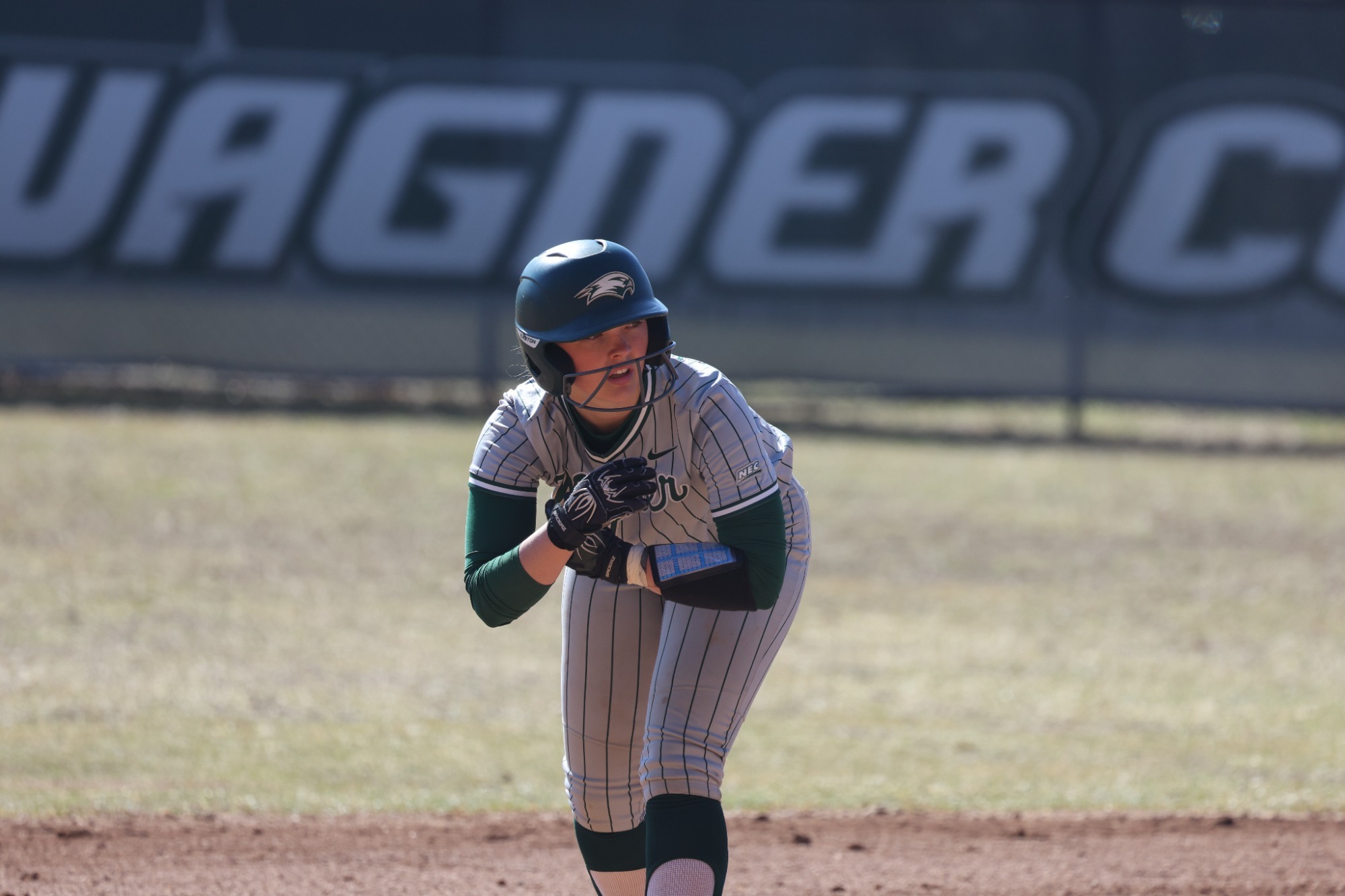 Softball Announces 2025 Schedule - Wagner College Athletics
