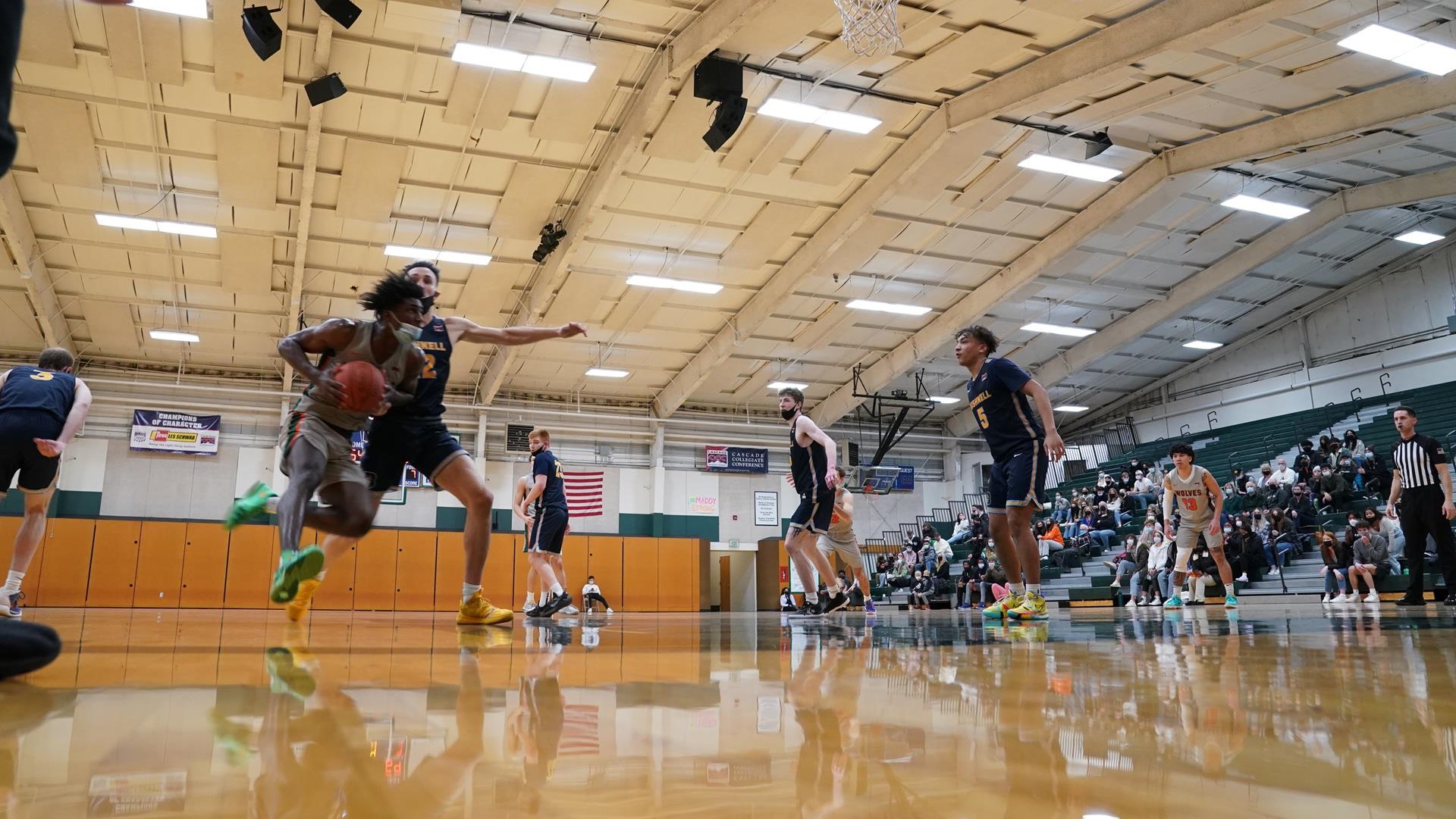 Men's Basketball: Wolves Comeback Bid Falls Short Against Bushnell ...