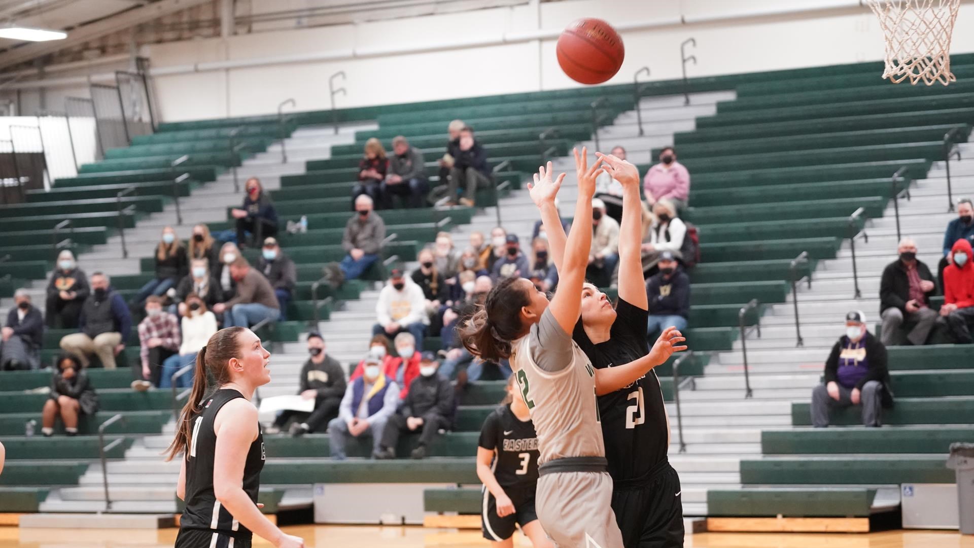 Women's Basketball: Wolves Fall in Close Matchups on Final Road Trip ...