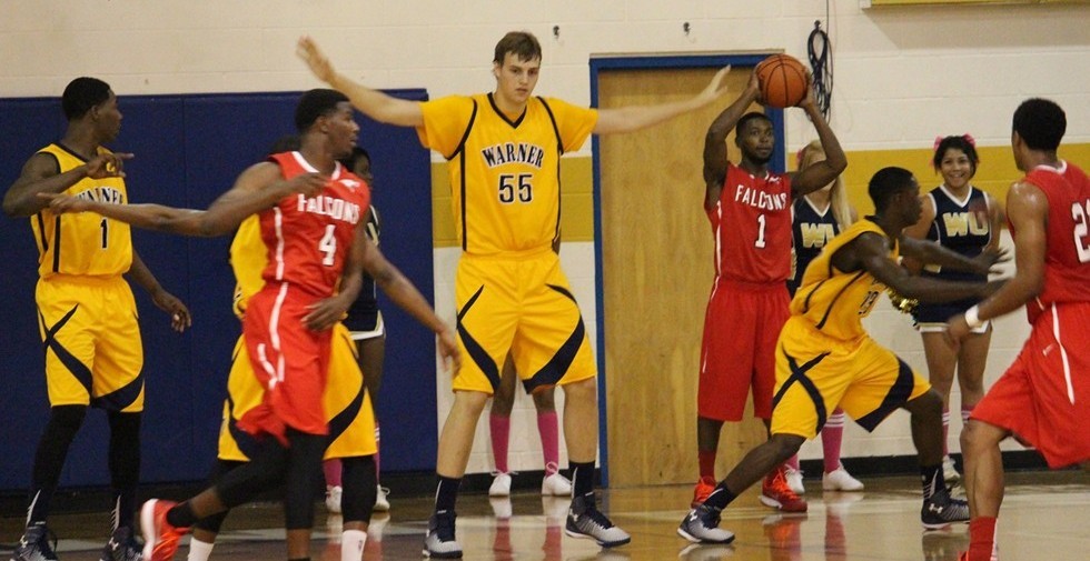 AJ Lamb - Men's Basketball - Warner University Athletics