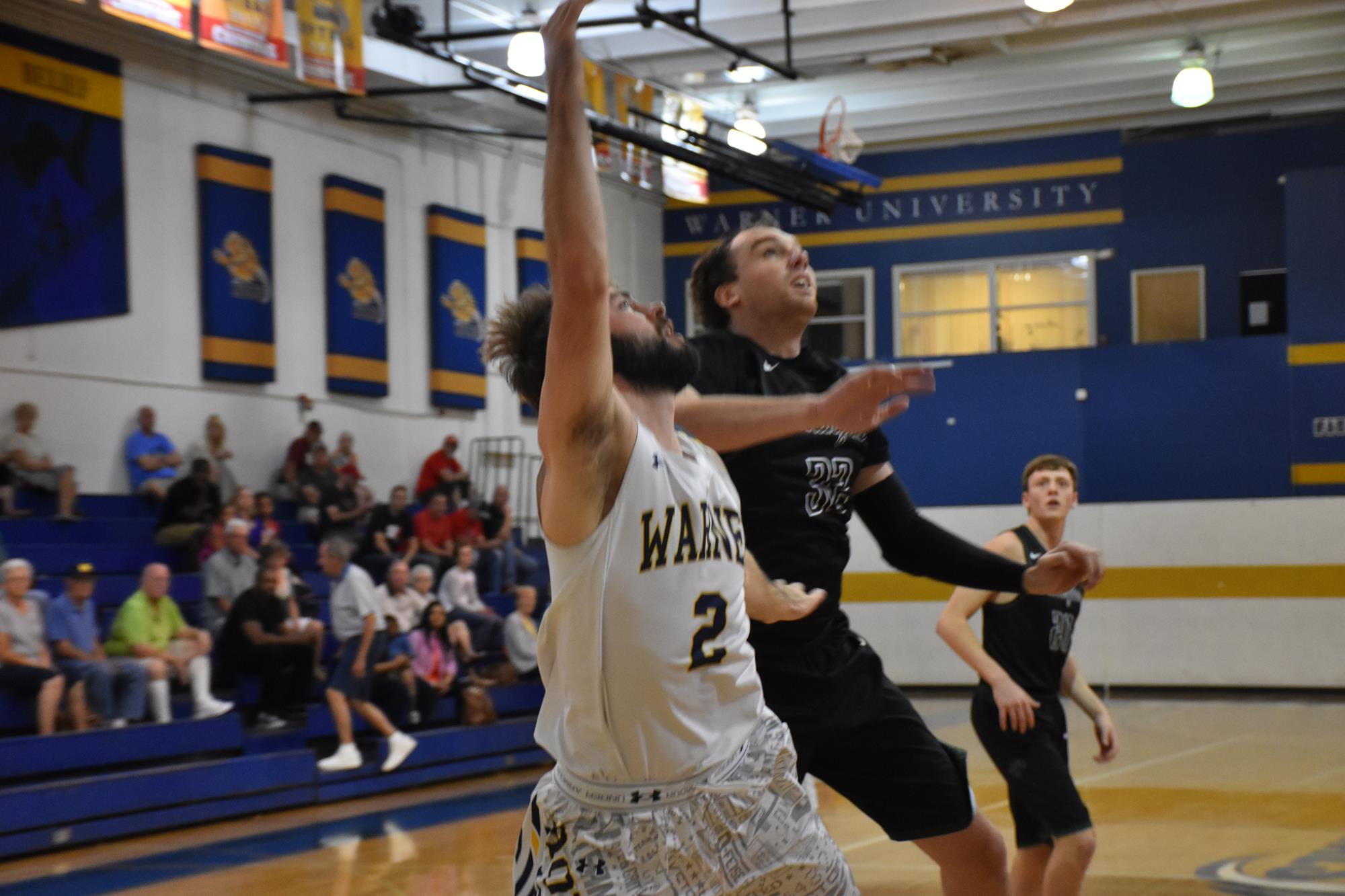 Nick Macon - Men's Basketball - Warner University Athletics