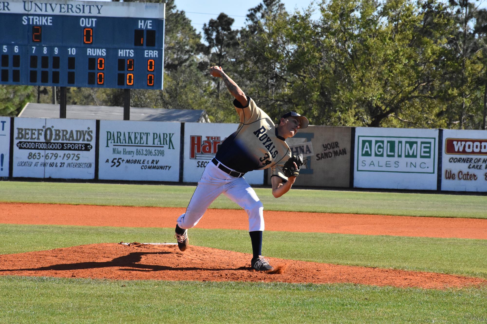Trace Porter - Baseball - Warner University Athletics