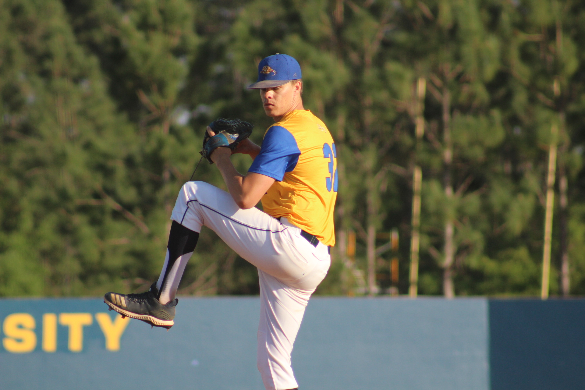Michael Batten - Baseball - Warner University Athletics