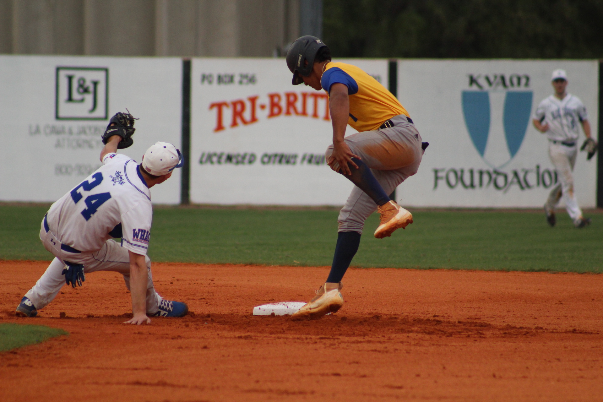 Warner Baseball – Royals Grab Two Big Wins On Opening Day Of 2019 NCCAA ...