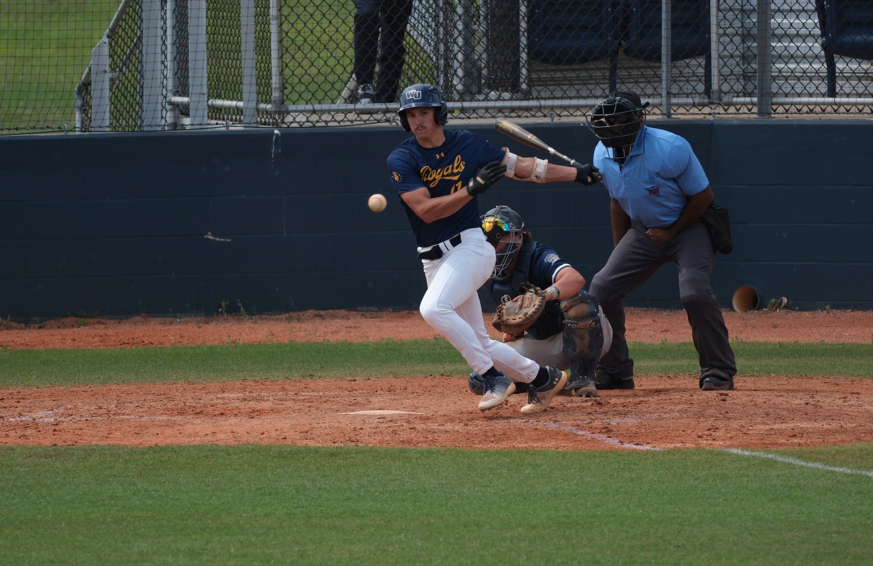 Rich Benjamin Named New Head Coach For Warner University Baseball ...
