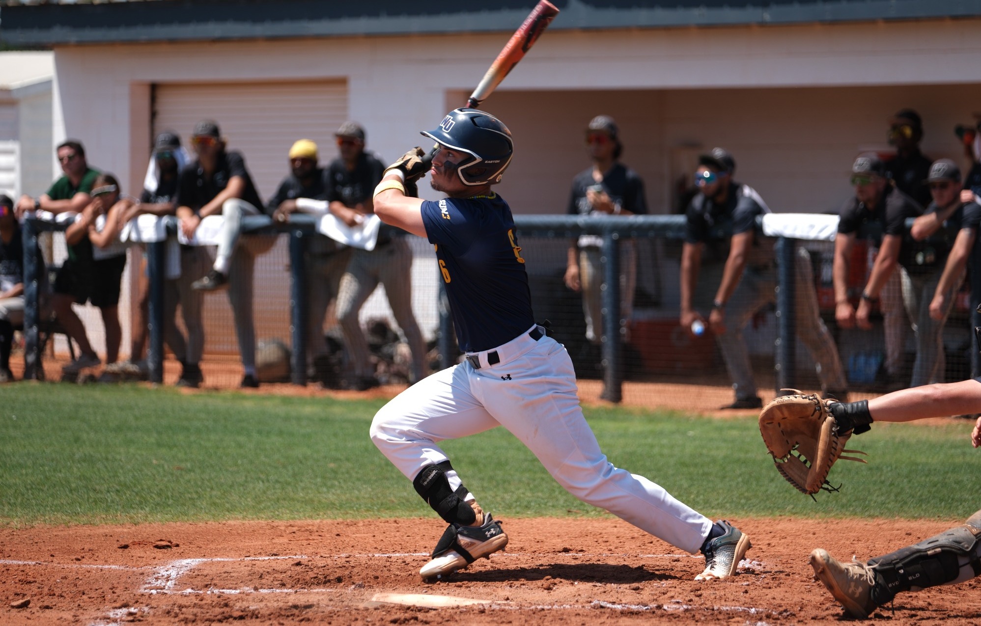 Rich Benjamin Named New Head Coach For Warner University Baseball ...