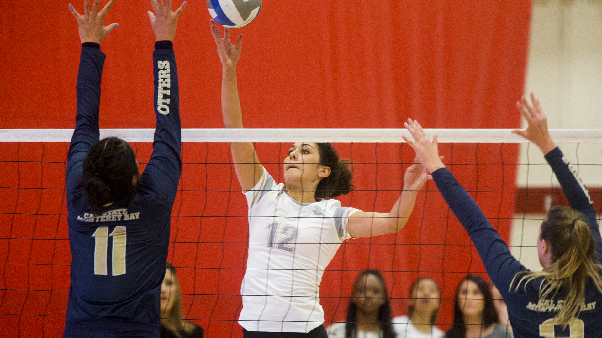 Yisel Perez - Volleyball - Stanislaus State Athletics
