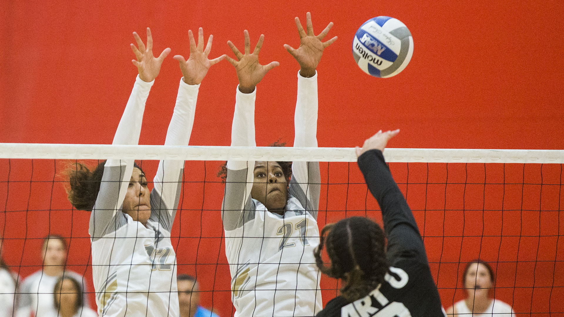 Yisel Perez - Volleyball - Stanislaus State Athletics