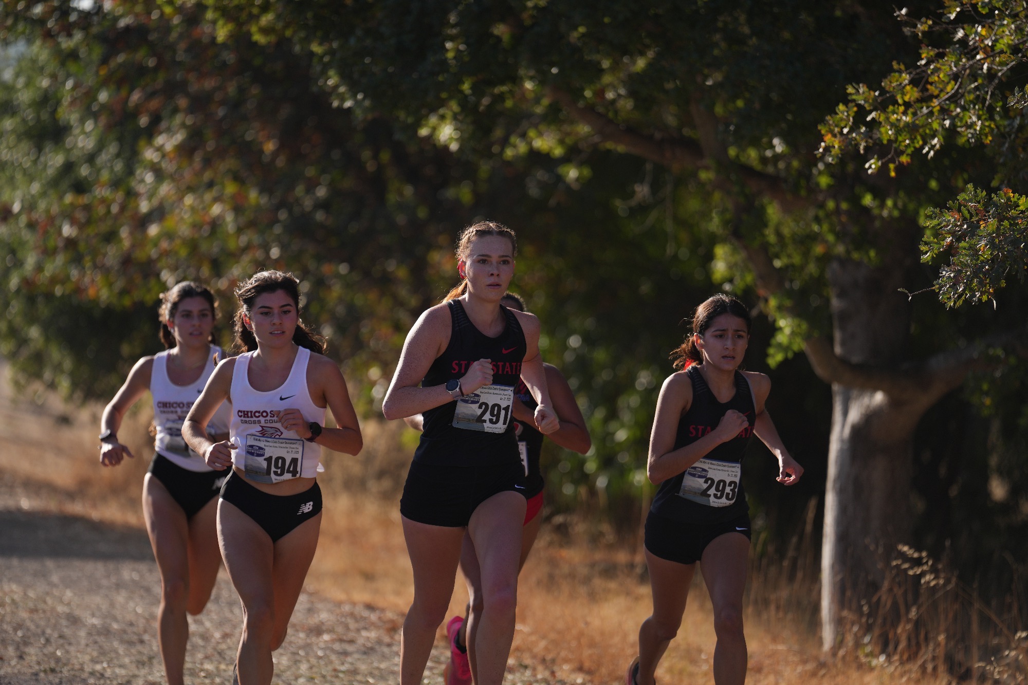 Holly Little - Women's Cross Country - Stanislaus State Athletics