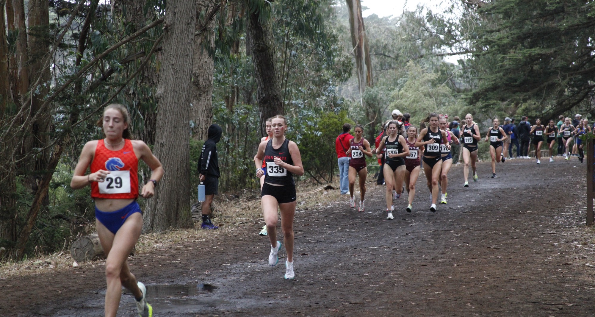 Holly Little - Women's Cross Country - Stanislaus State Athletics