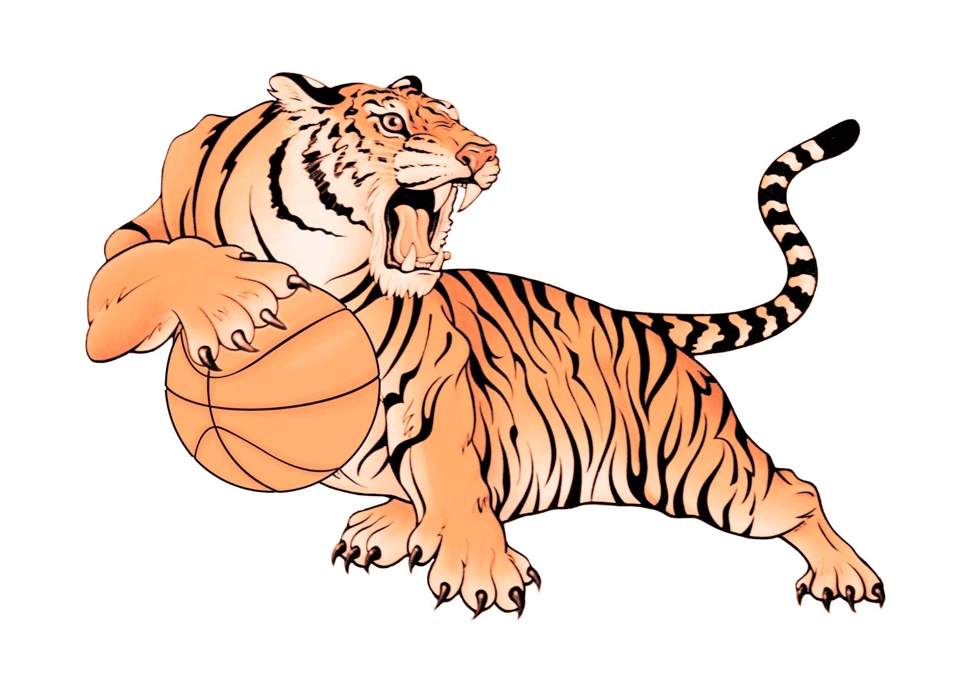 Tigers Beat Buzzer, Raiders - Warsaw Community High School