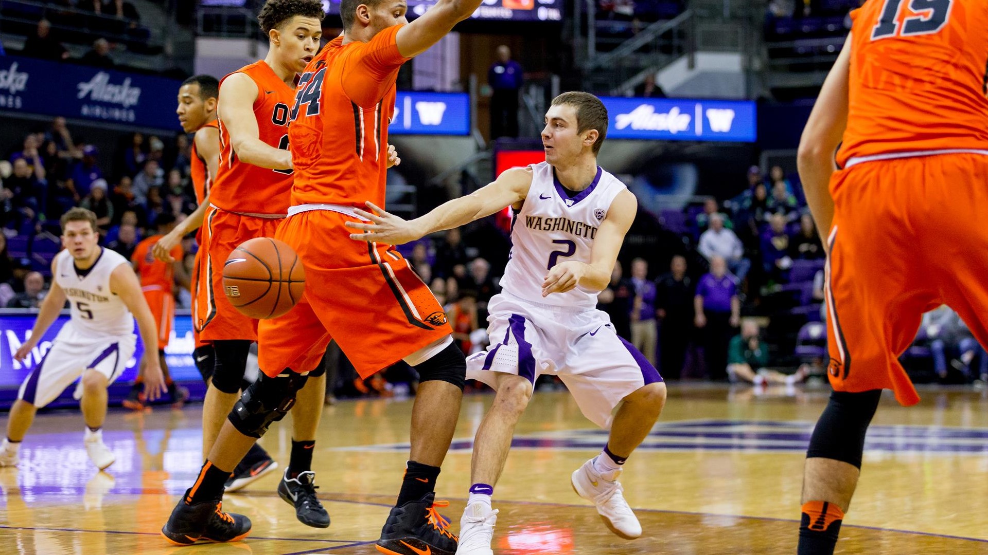 Dan Kingma - Men's Basketball - University of Washington Athletics