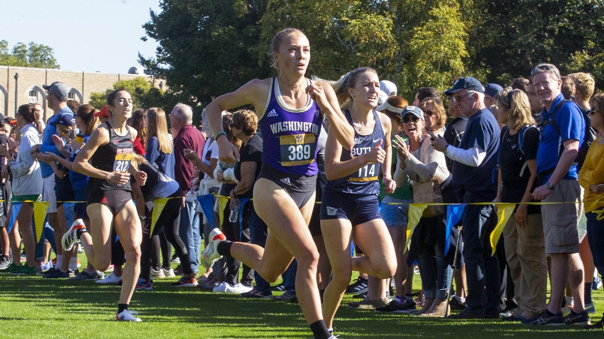 Anna Gibson - Cross Country - University of Washington Athletics