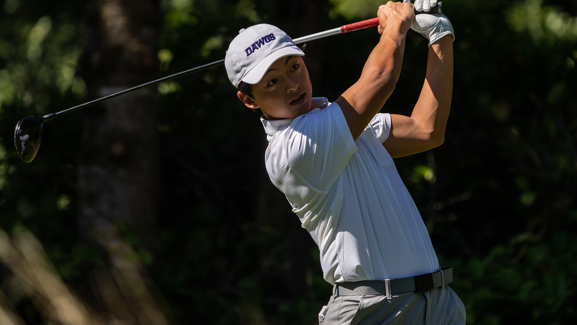 Patrick Hong - Men's Golf - University of Washington Athletics