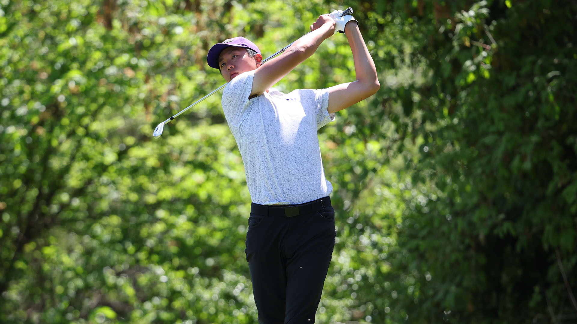 Teddy Lin - Men's Golf - University of Washington Athletics