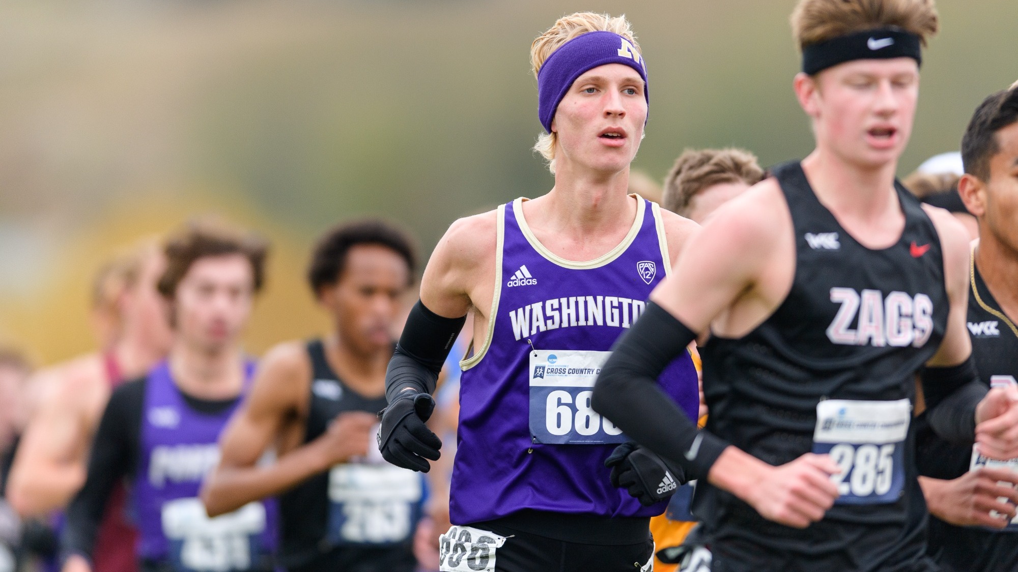 Luke Houser - Cross Country - University of Washington Athletics
