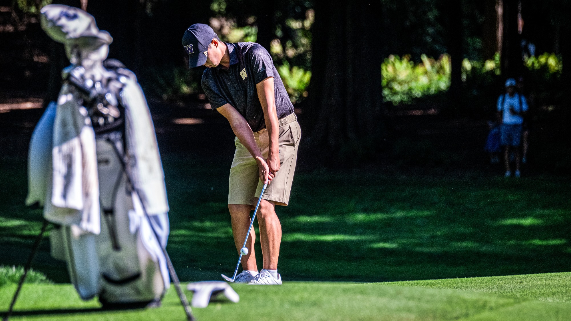 Teddy Lin - Men's Golf - University of Washington Athletics