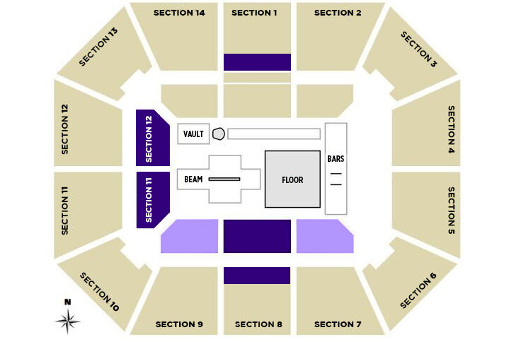 Gymnastics | University of Washington