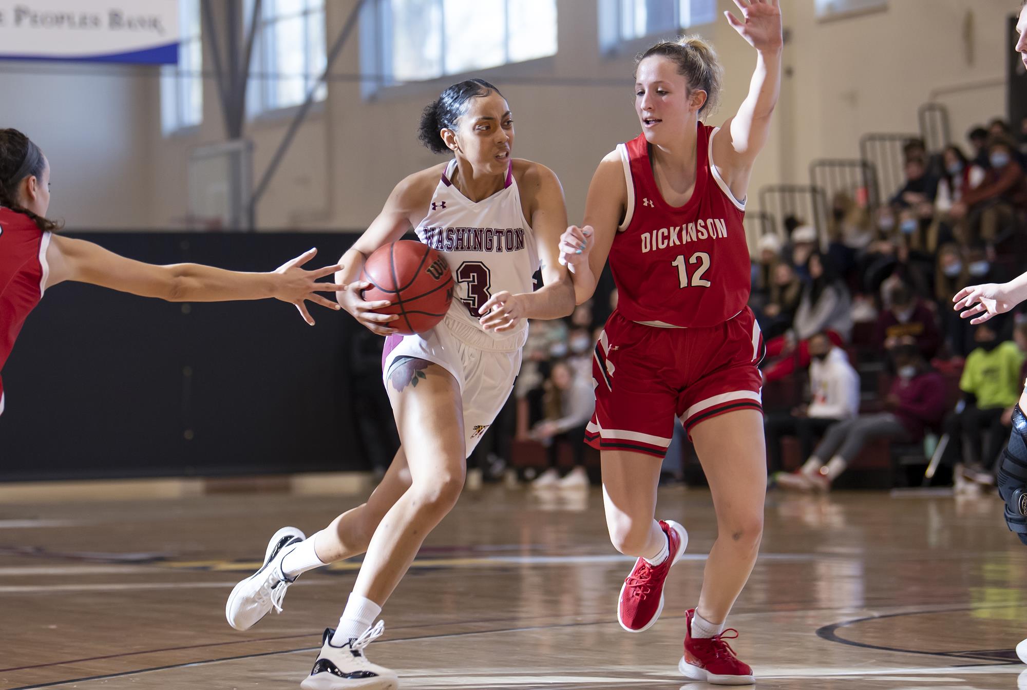 Kaleigh White - 2023-24 - Women's Basketball - Washington College