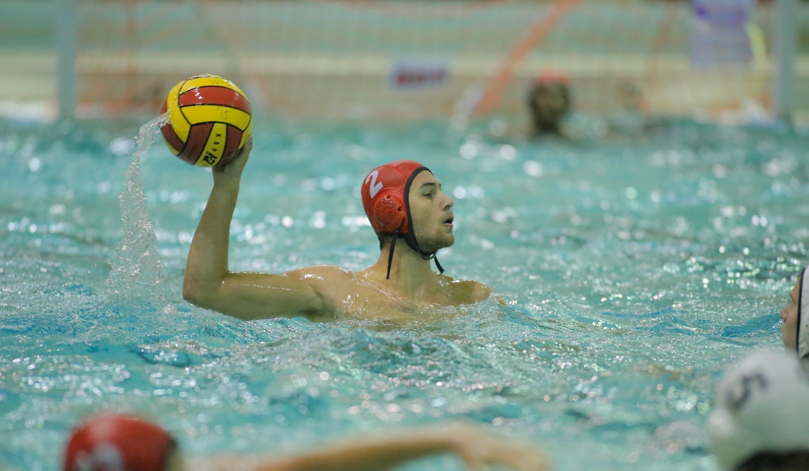 Nicholas Willison - Men's Water Polo - Washington & Jefferson College ...