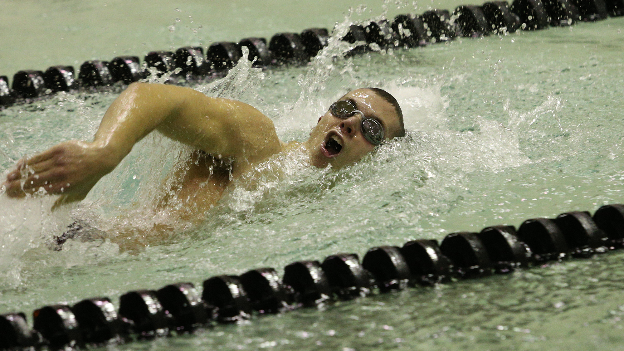 Colin Higinbotham - Men's Swimming and Diving - Washington & Jefferson ...