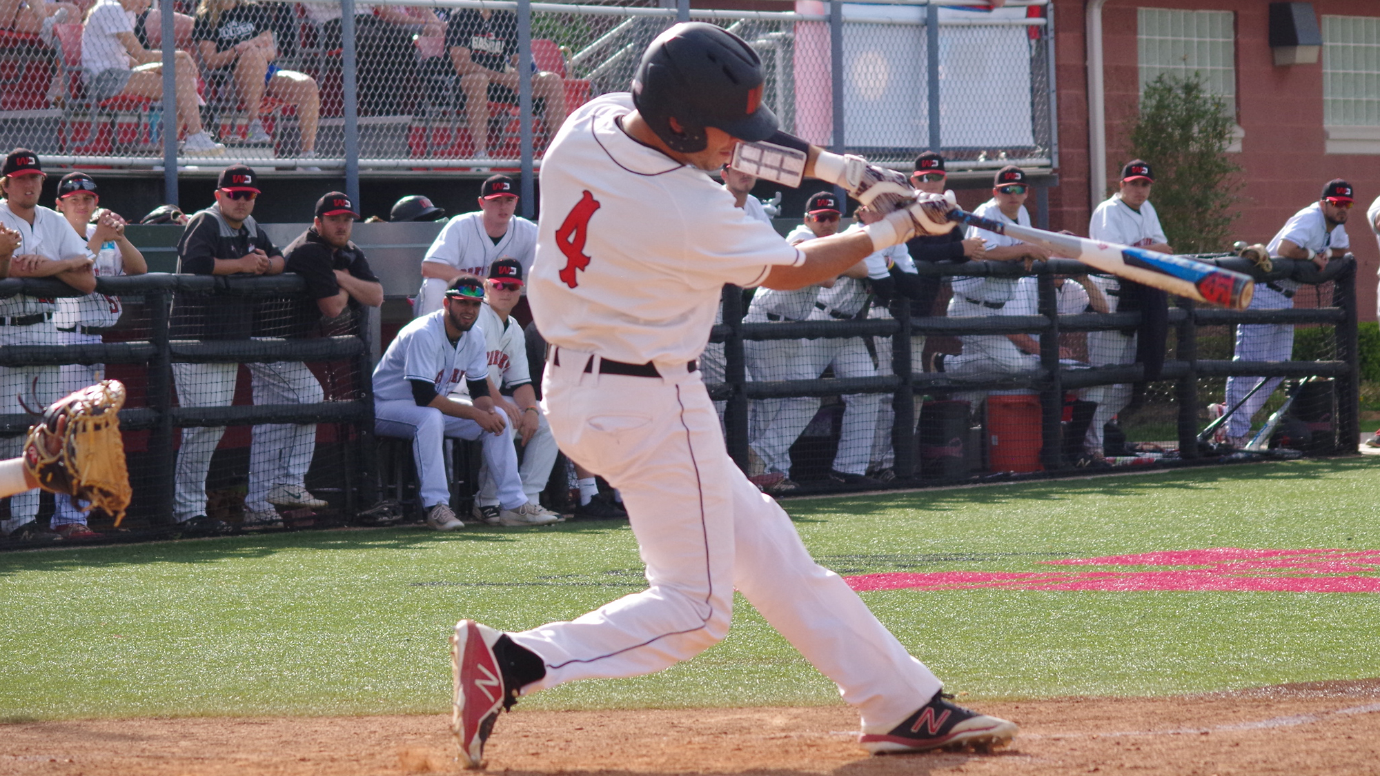 Dante Dalesandro - Baseball - Washington & Jefferson College Athletics