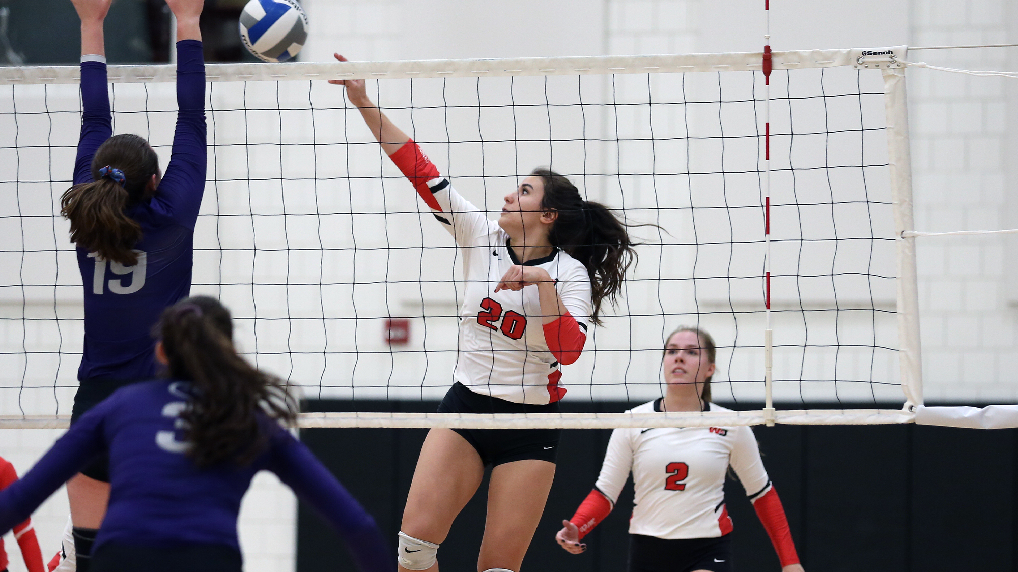 Haley Nelson - Volleyball - Washington & Jefferson College Athletics