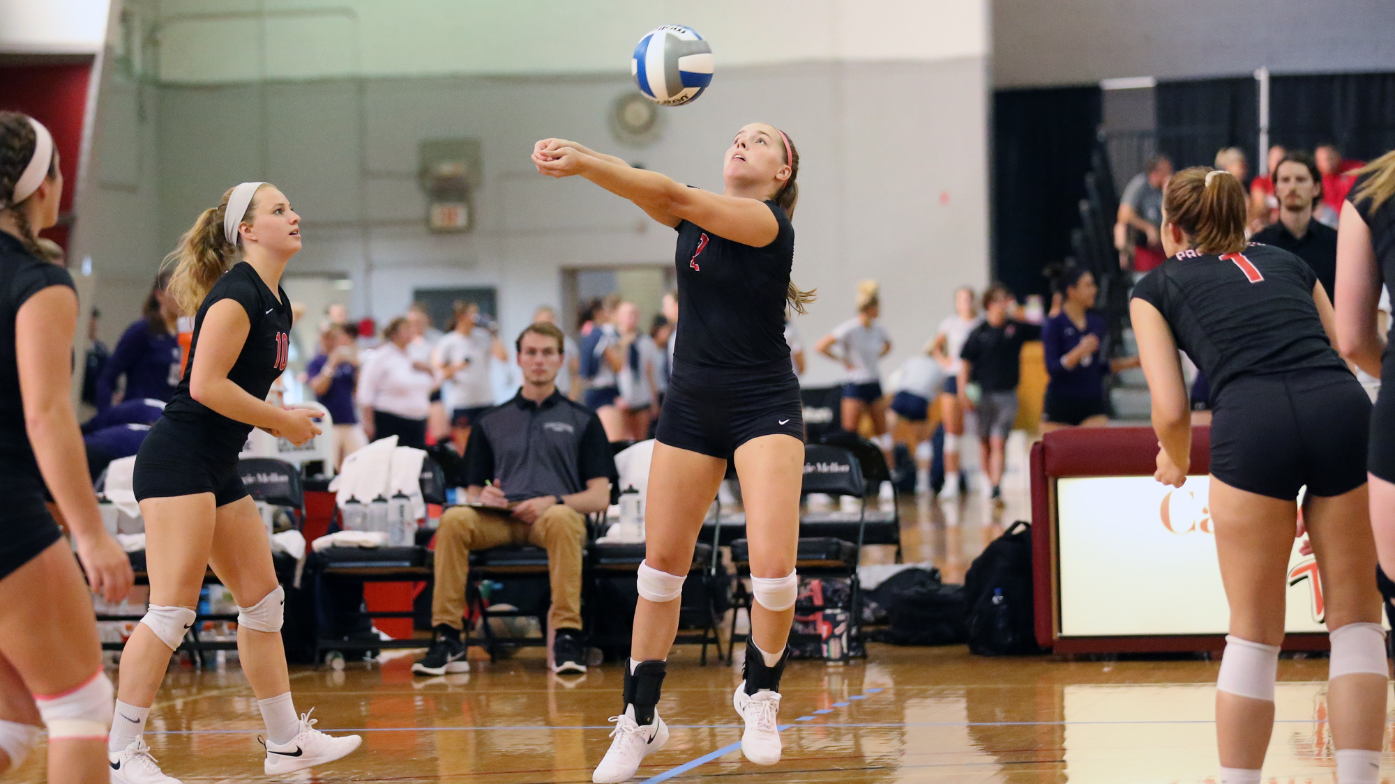 Julia Galbraith - Volleyball - Washington & Jefferson College Athletics
