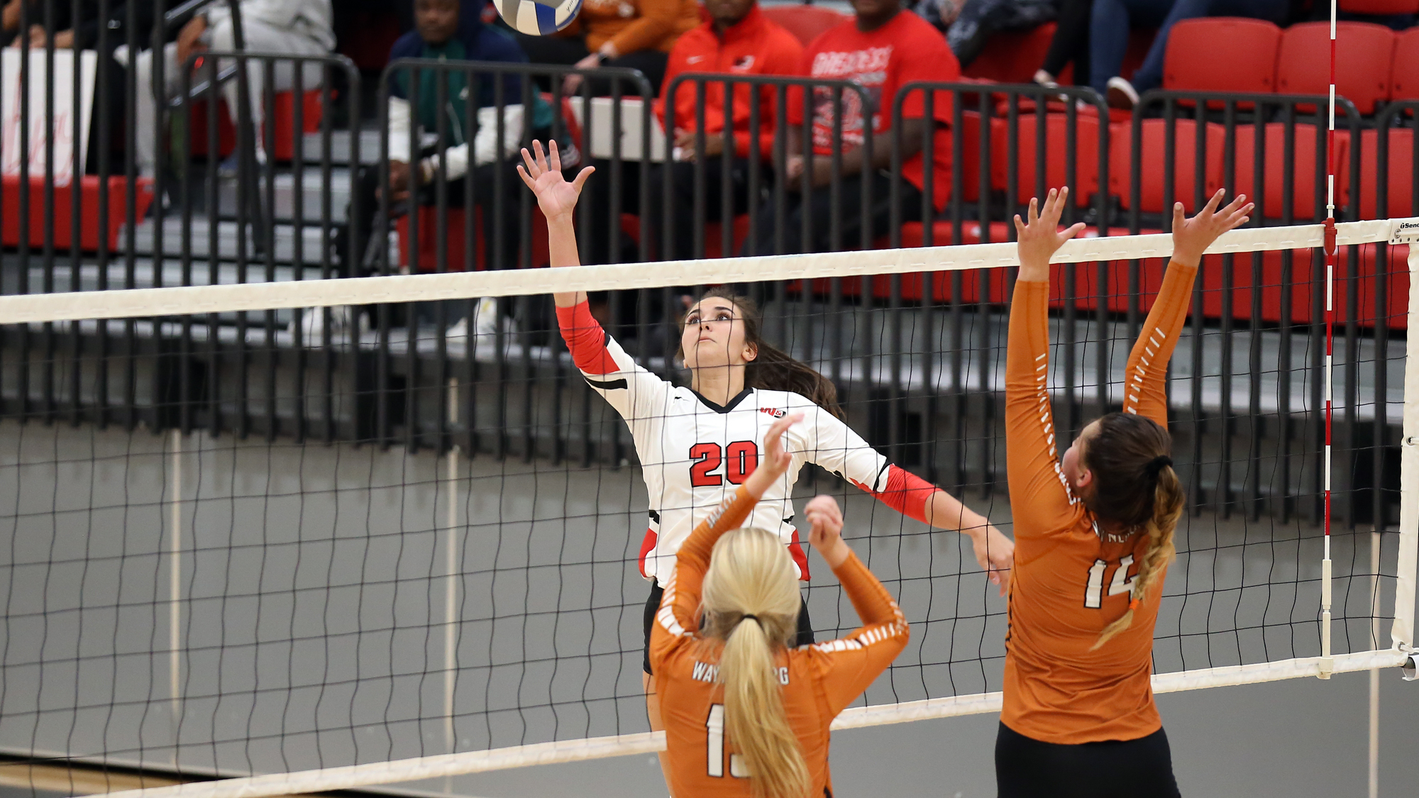 Haley Nelson - Volleyball - Washington & Jefferson College Athletics