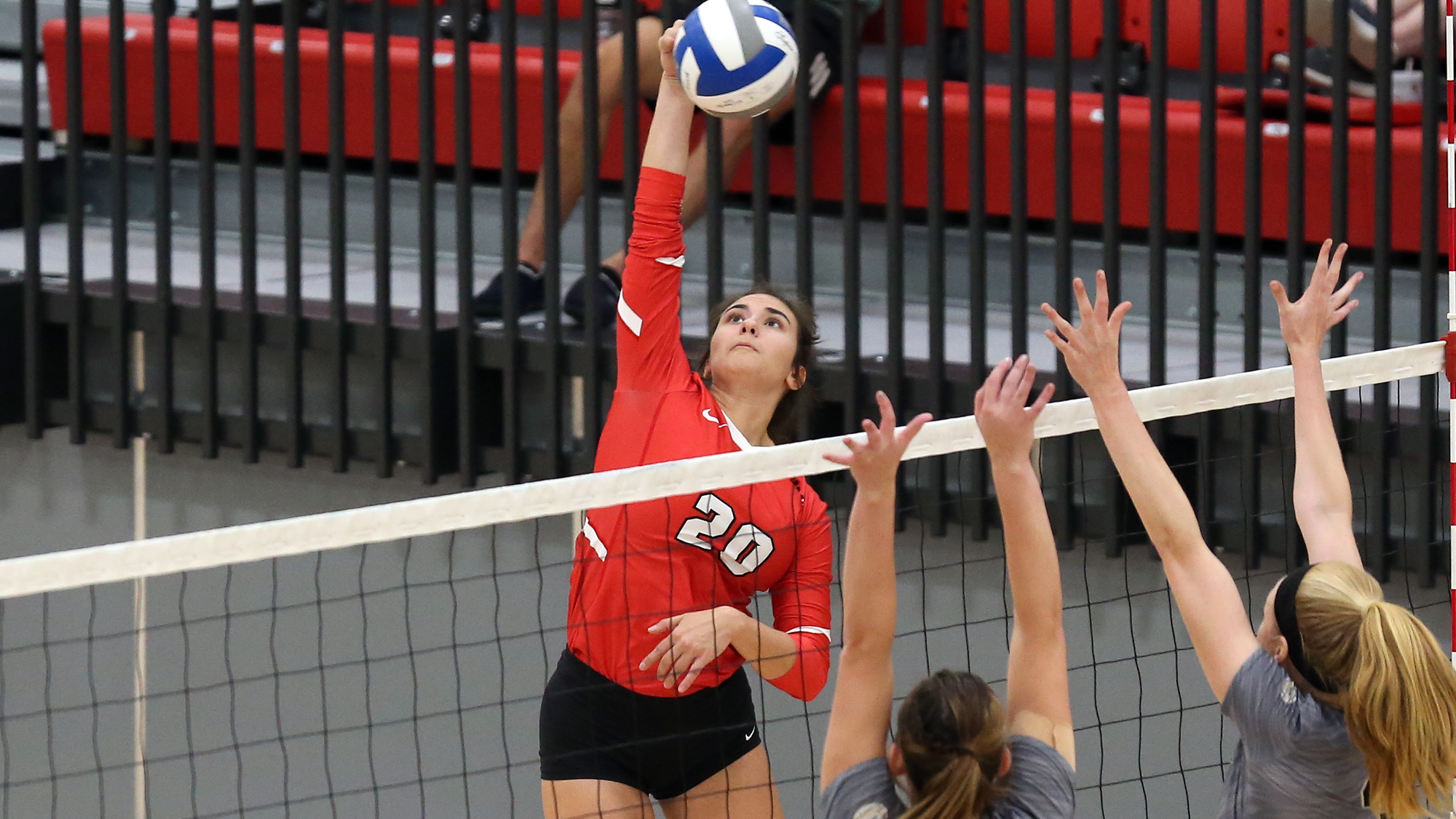 Haley Nelson - Volleyball - Washington & Jefferson College Athletics