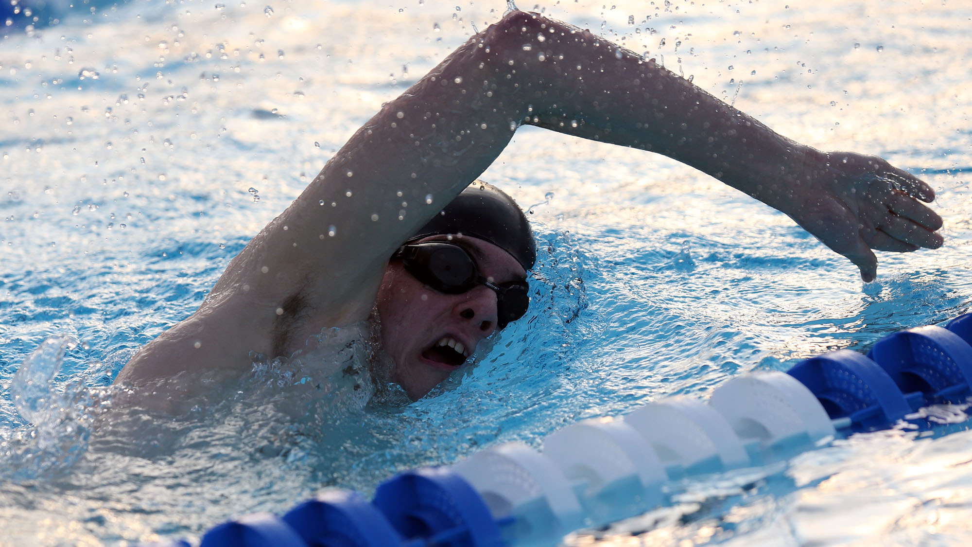 Jacob Black - Men's Swimming and Diving - Washington & Jefferson ...
