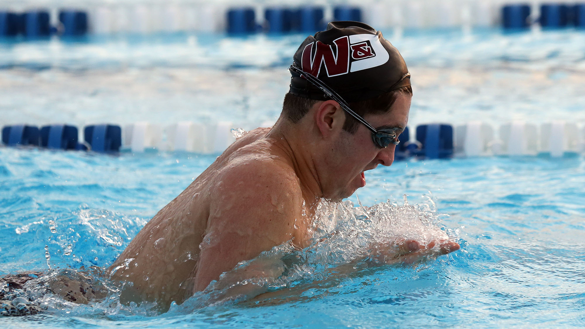 Andrew Ivory - Men's Swimming and Diving - Washington & Jefferson ...