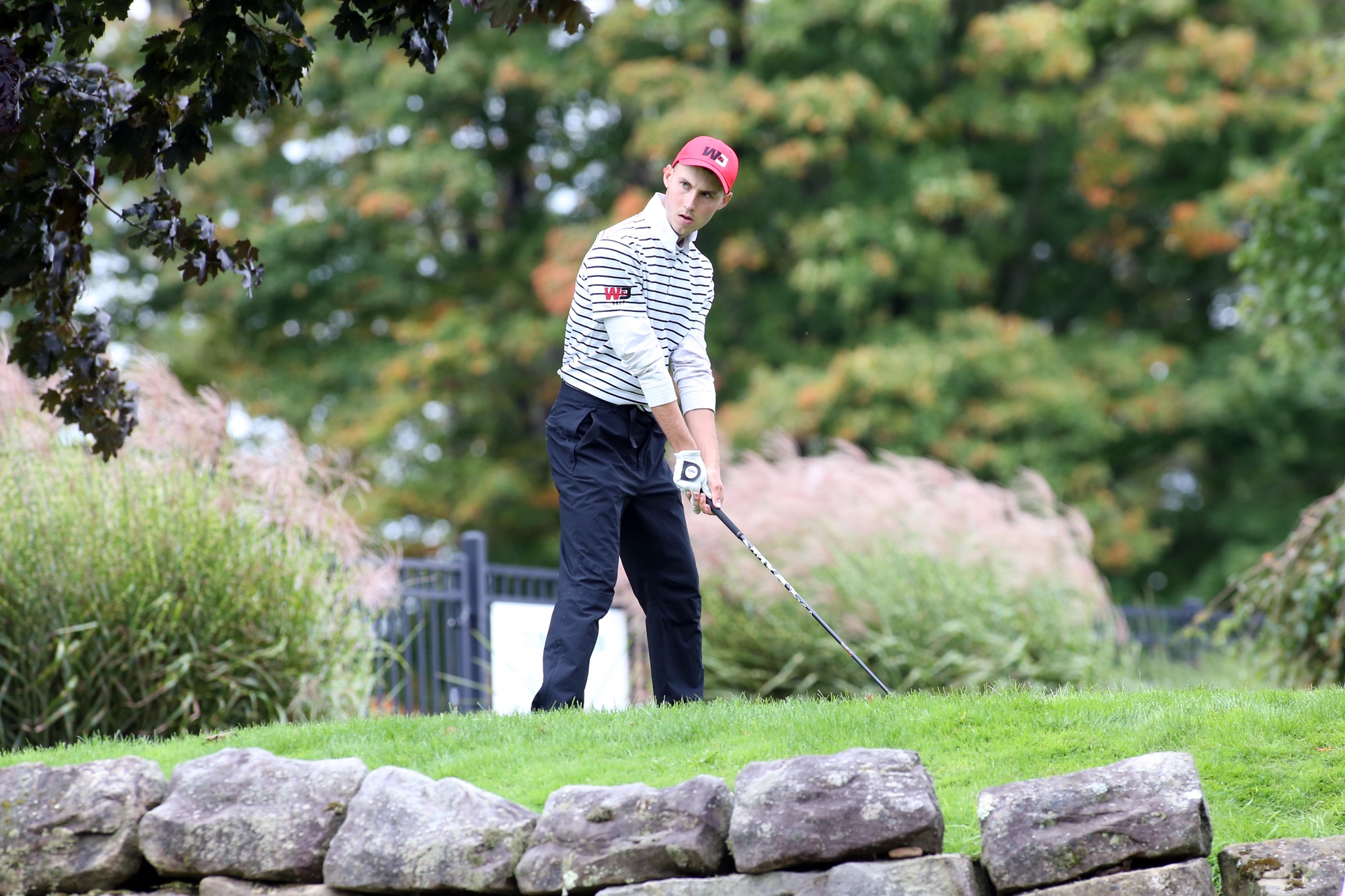 Luke Lestini - Men's Golf - Washington & Jefferson College Athletics