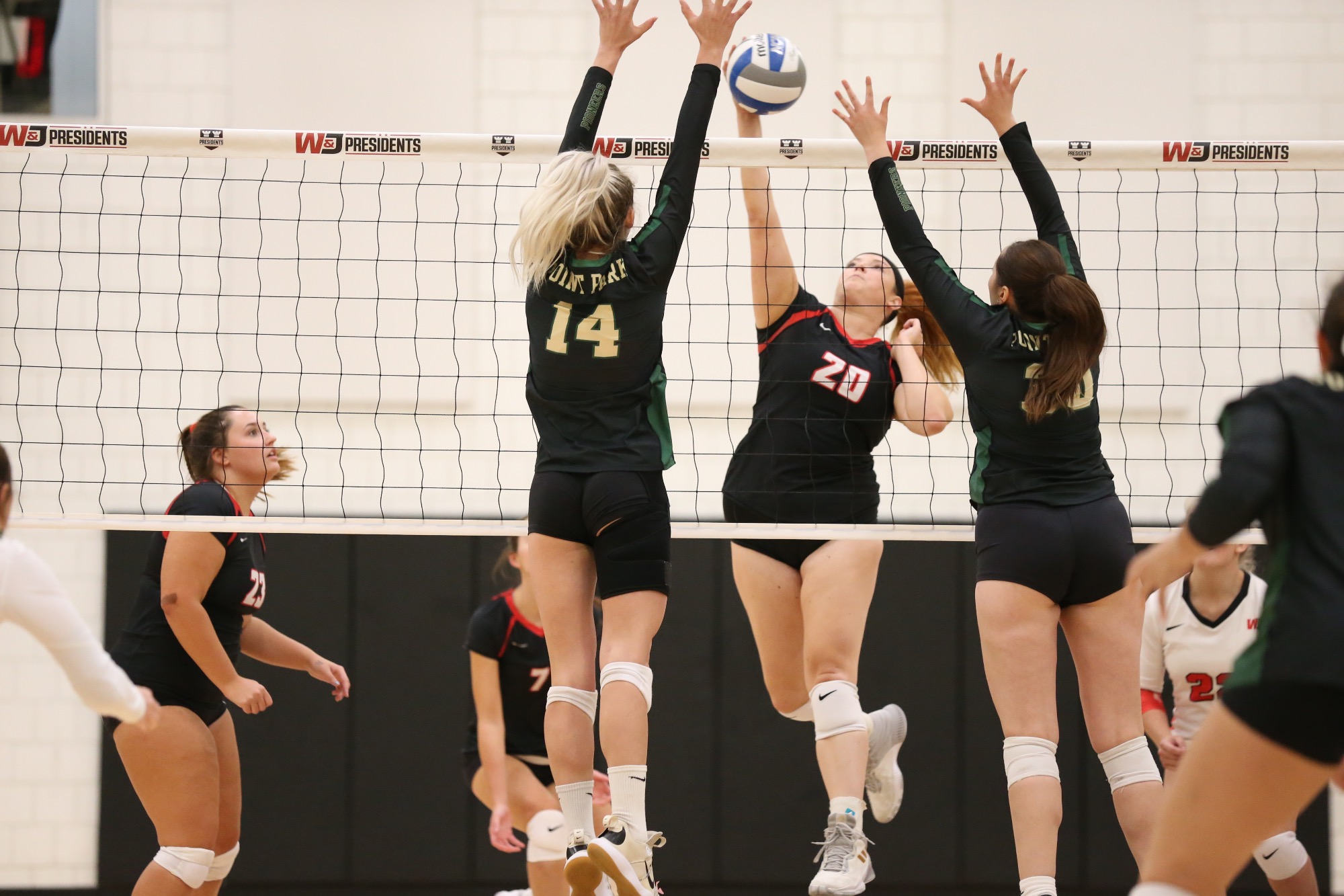 Lizzie Carmichael - Volleyball - Washington & Jefferson College Athletics