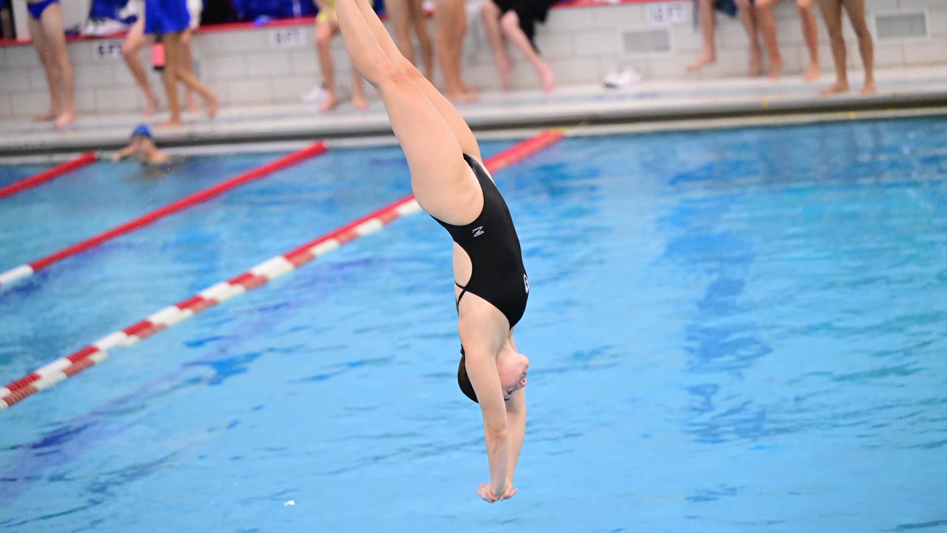 Rosie Finglass - 2023-24 - Women's Swimming and Diving - Washington ...