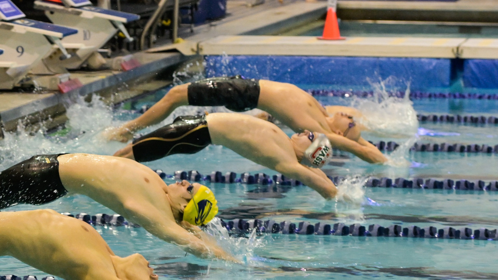 Alex McCormick - 2023-24 - Men's Swimming and Diving - Washington ...
