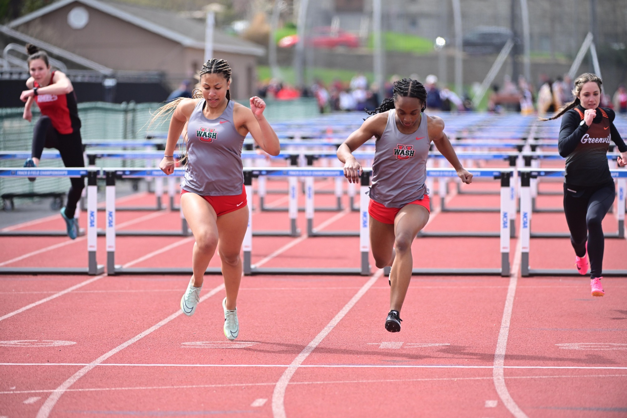 Charis Riebe - 2023-24 - Women's Track and Field - Washington ...