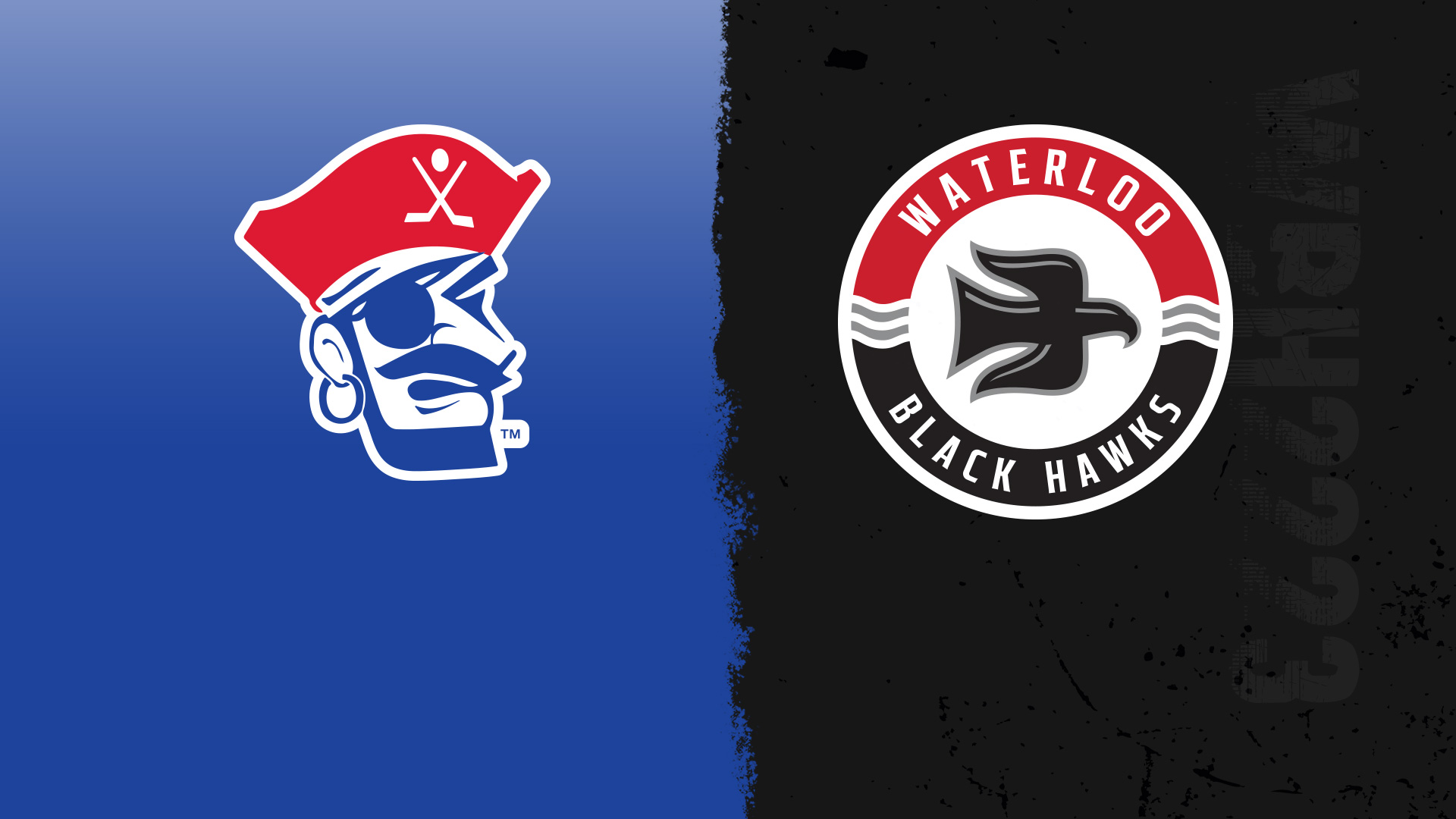 Postgame Recap: Hawks Catch Bucs in Barrage - Waterloo Black Hawks