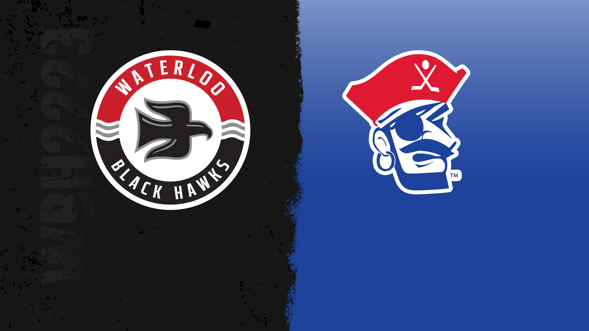 Postgame Recap: What’s Your Favorite Number? - Waterloo Black Hawks