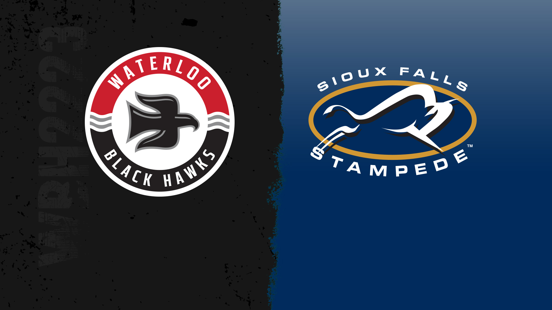 Postgame Recap: Transition Scoring Propels Hawks Win - Waterloo Black Hawks