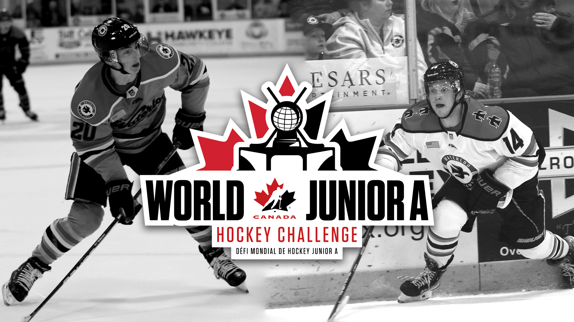 U.S. Captures Third Place - Waterloo Black Hawks