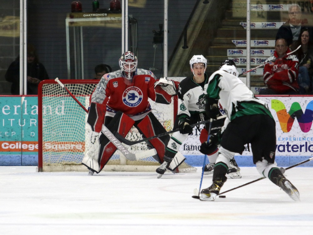 Croteau is Weekly Crease King - Waterloo Black Hawks